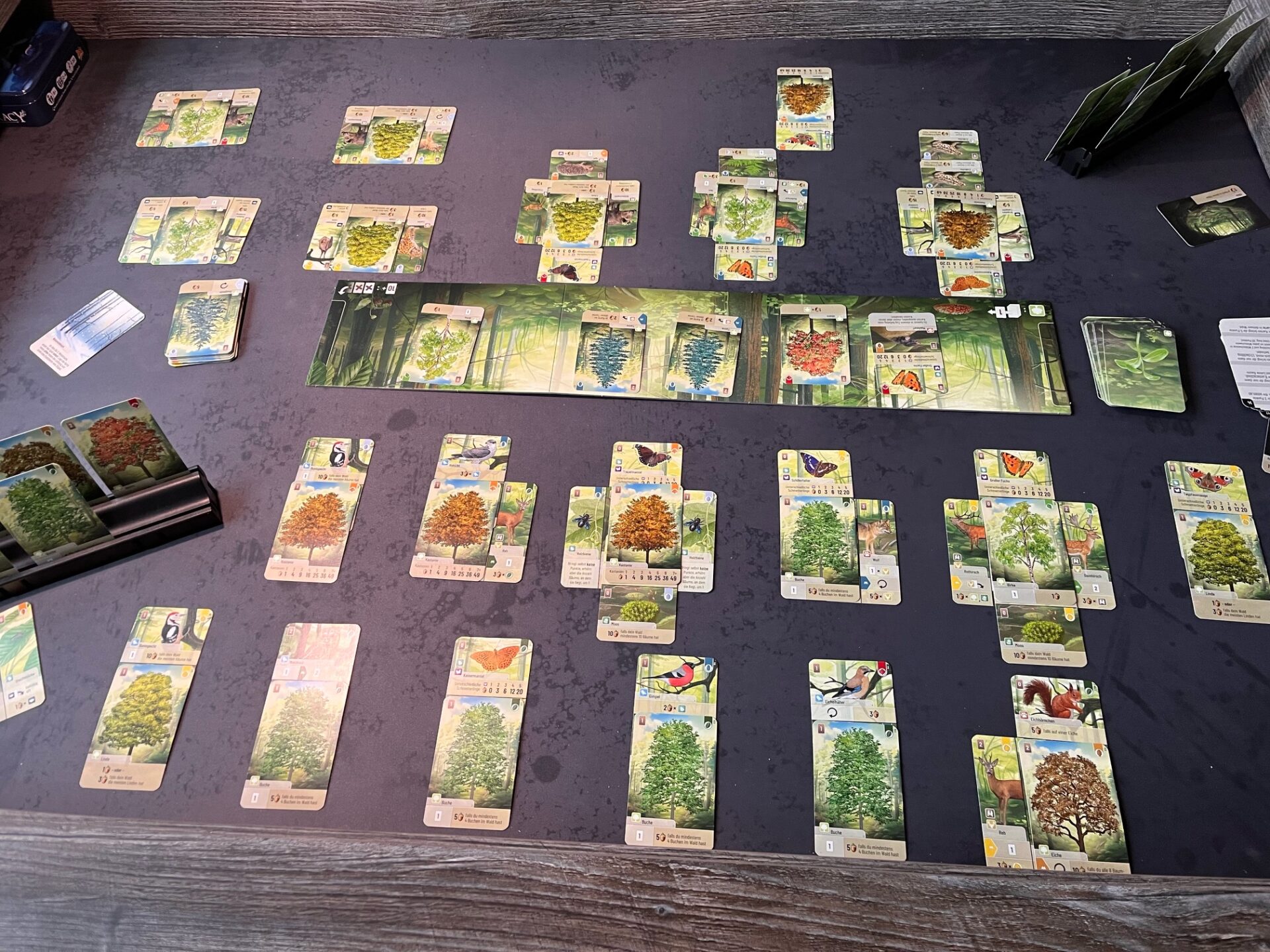 Mischwald - REVIEW | Rezension Brettspiel