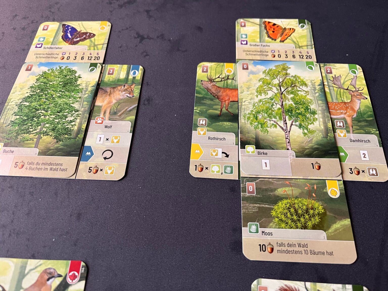 Mischwald - REVIEW | Rezension Brettspiel