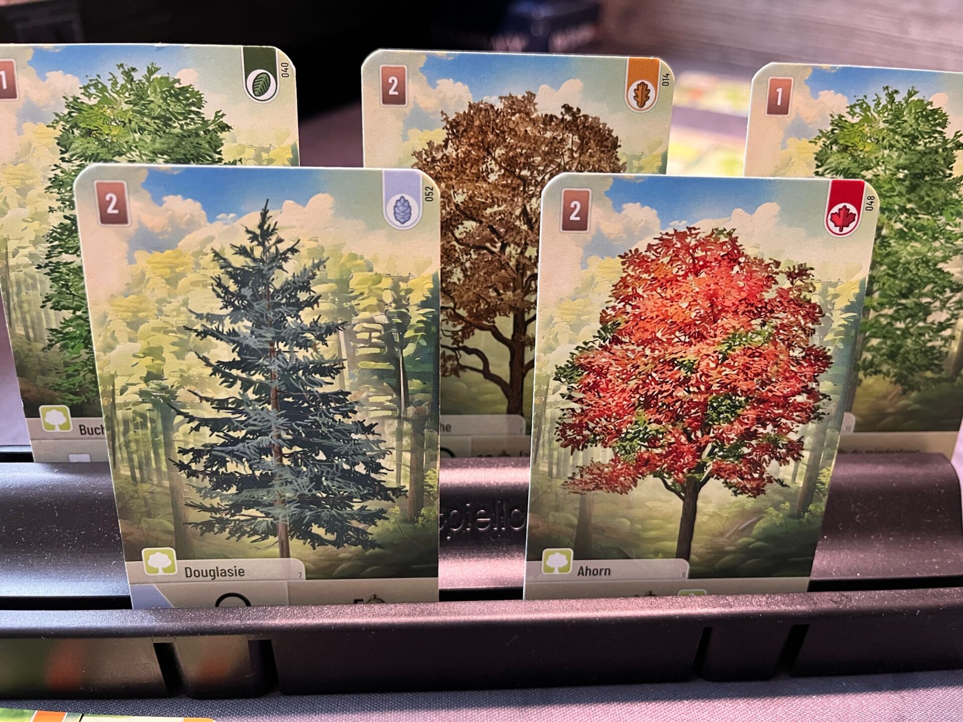 Mischwald - REVIEW | Rezension Brettspiel