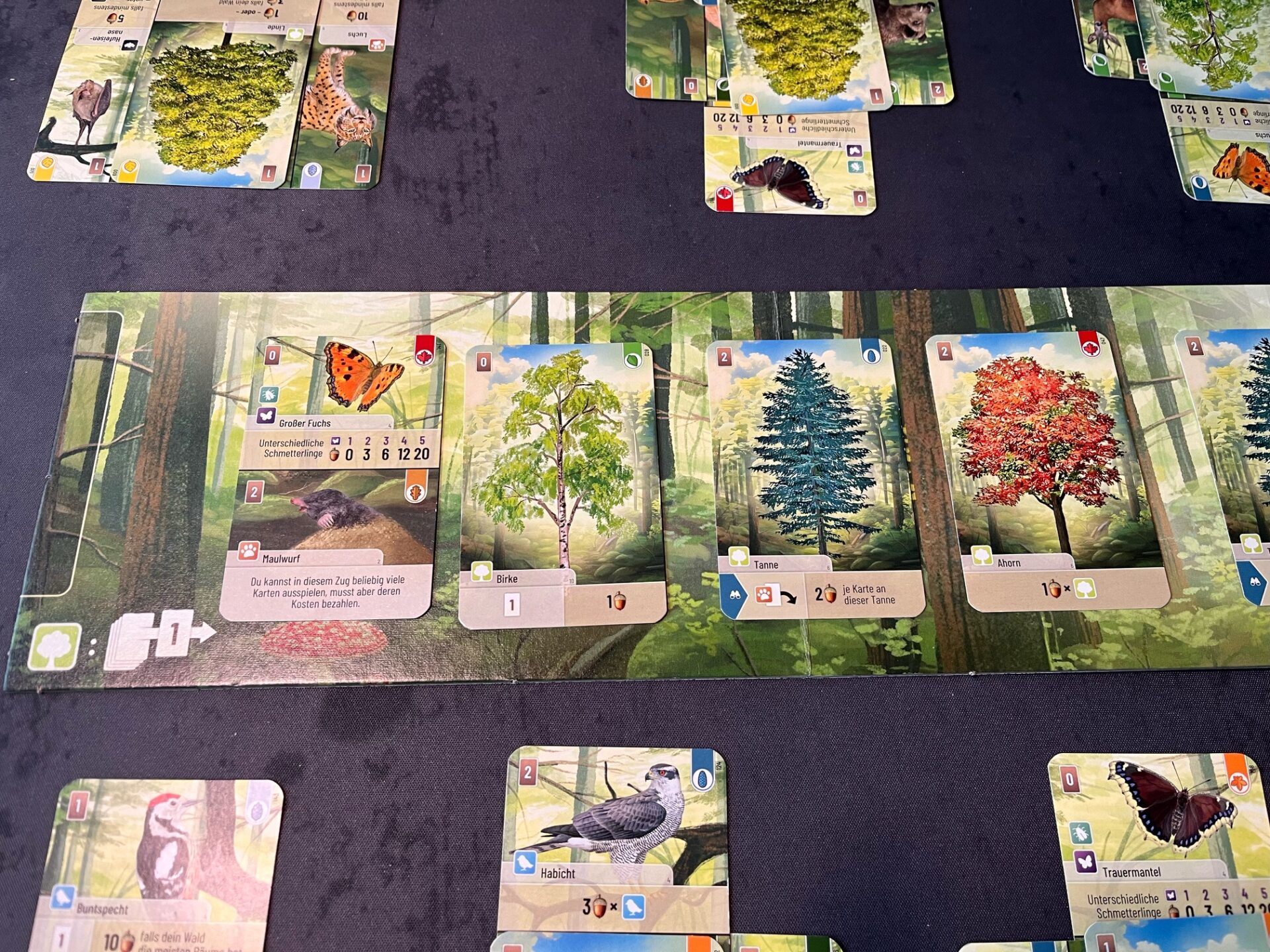 Mischwald - REVIEW | Rezension Brettspiel