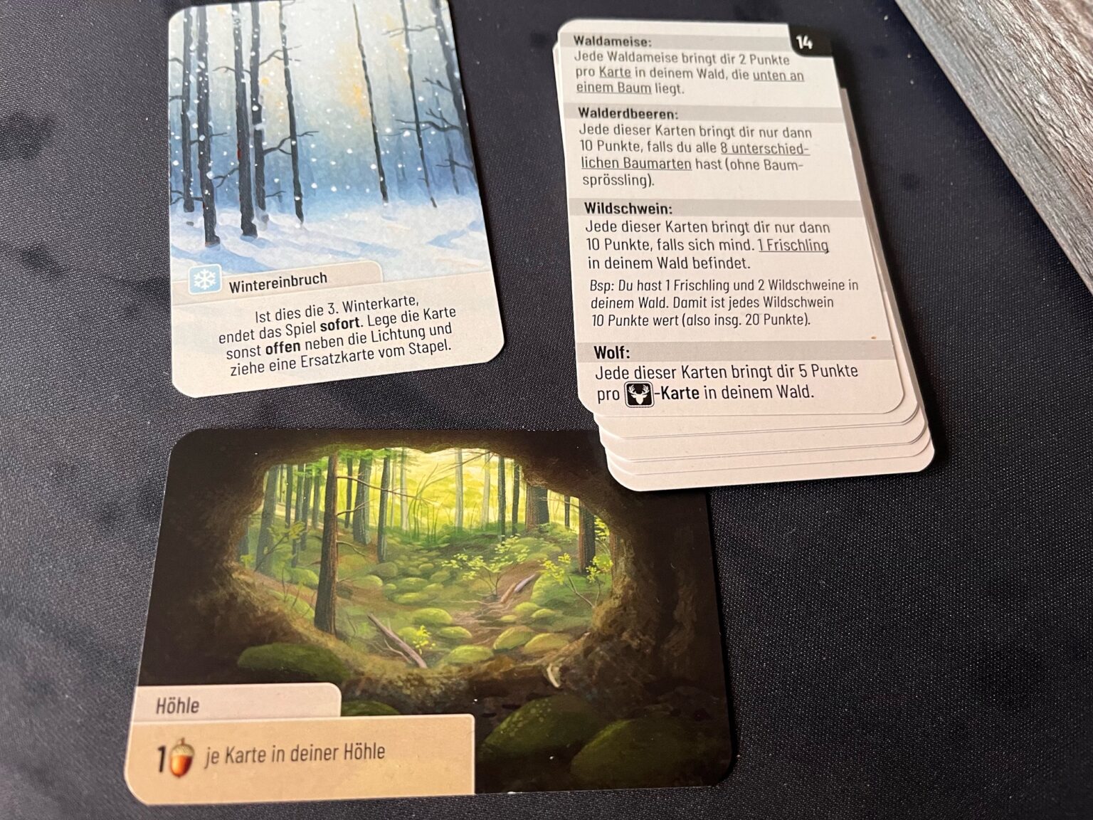 Mischwald - REVIEW | Rezension Brettspiel