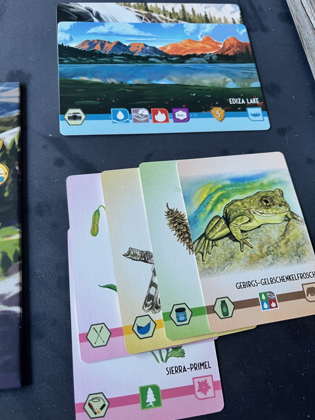 Sierra Nevada - REVIEW | Rezension Brettspiel